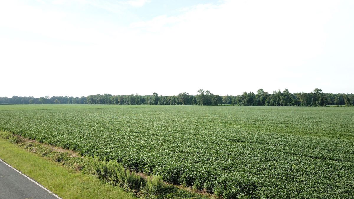 Multiple Tracts Of Land Perfect For Building Your Dream Home ...