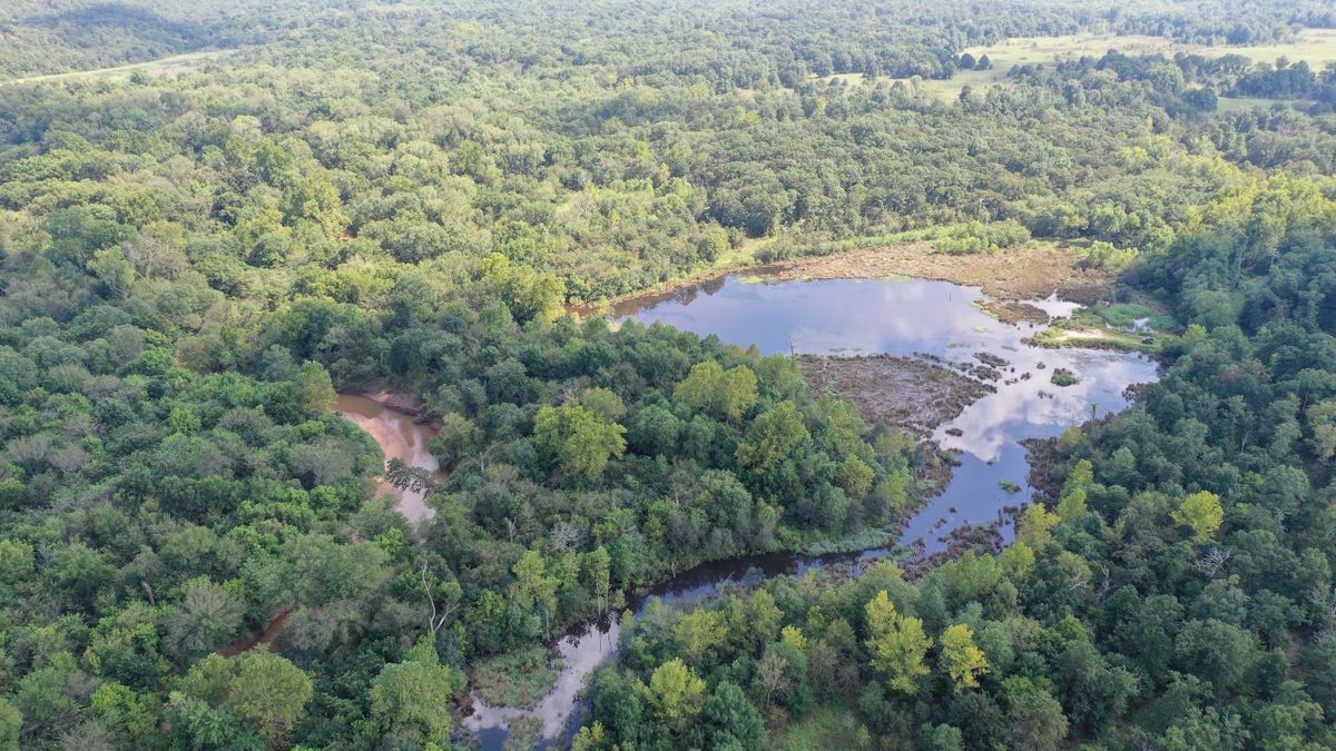 Prime Hunting in the Deep Fork River Bottoms | Whitetail Properties