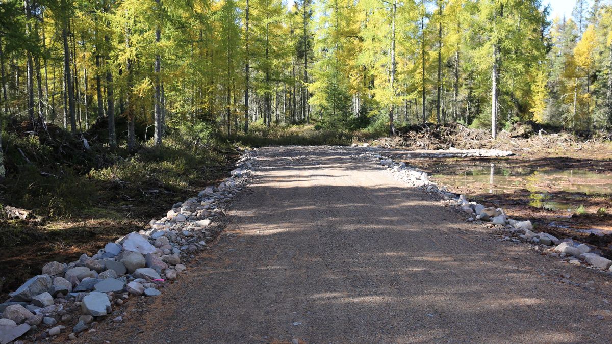 Large Hunting Parcel With Good Cover | Whitetail Properties