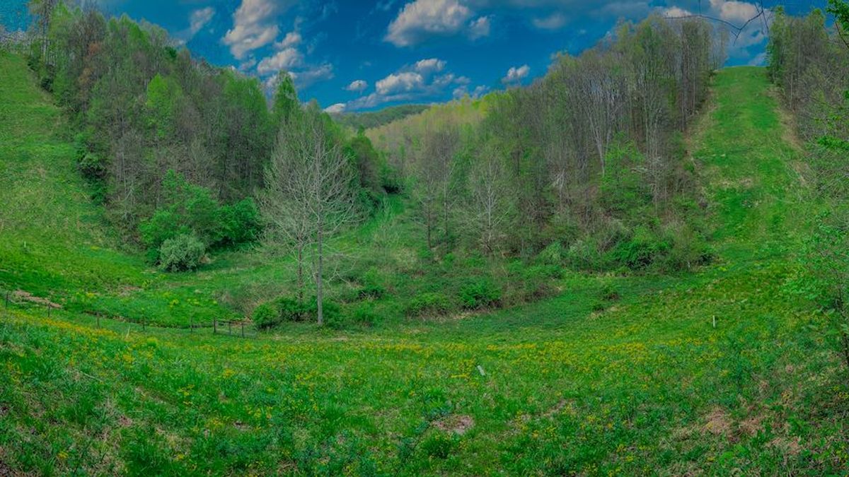 Beautiful Hunting Property Just Outside Of Salem | Whitetail Properties