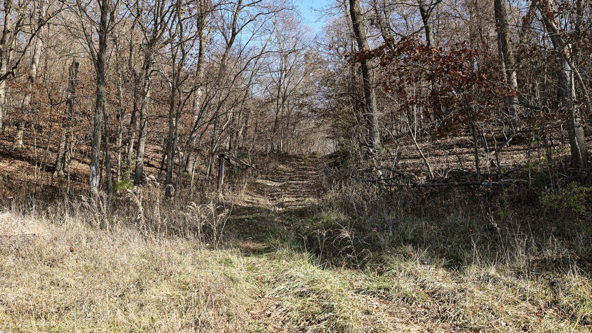 Small Recreational Tract Located In Western Pike County | Whitetail ...
