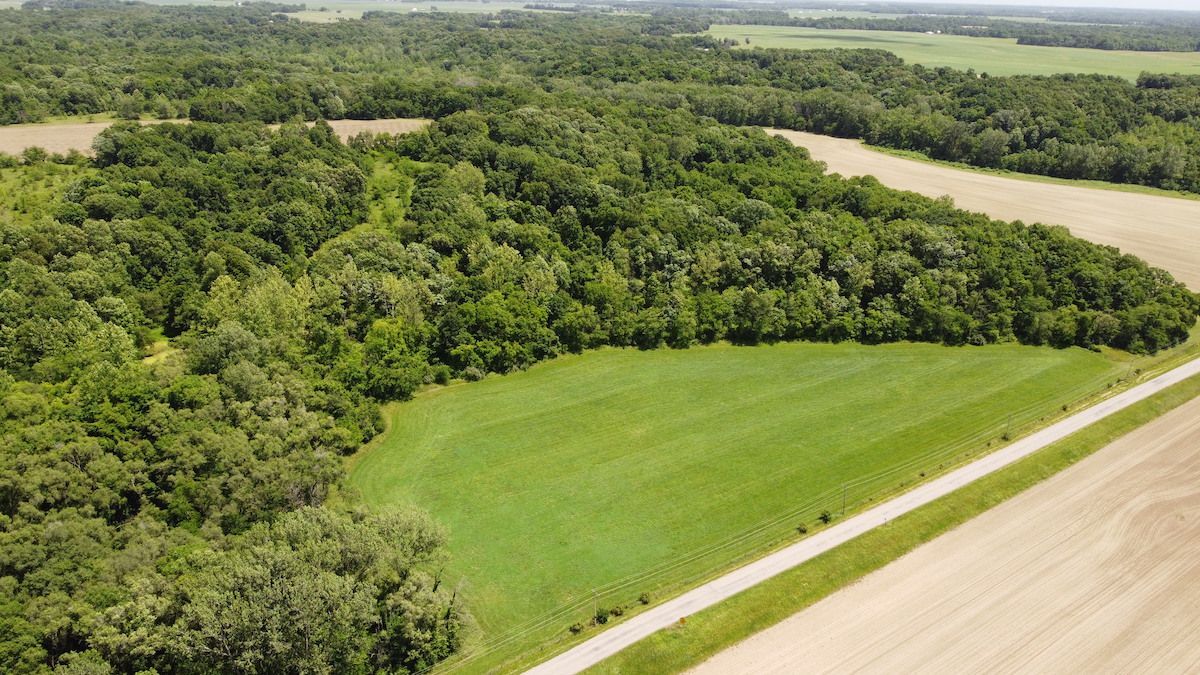 Recreational Property With Areas For Habitat Improvements | Whitetail ...