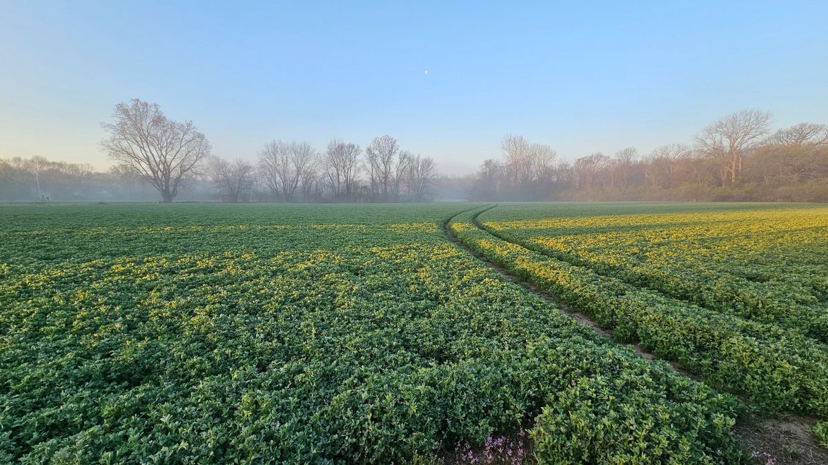 Multi-Species Hunting And Recreation Farm Near Topeka, Kansas ...