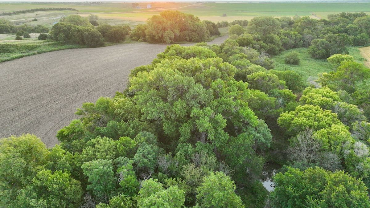 Solomon River 78 | Whitetail Properties