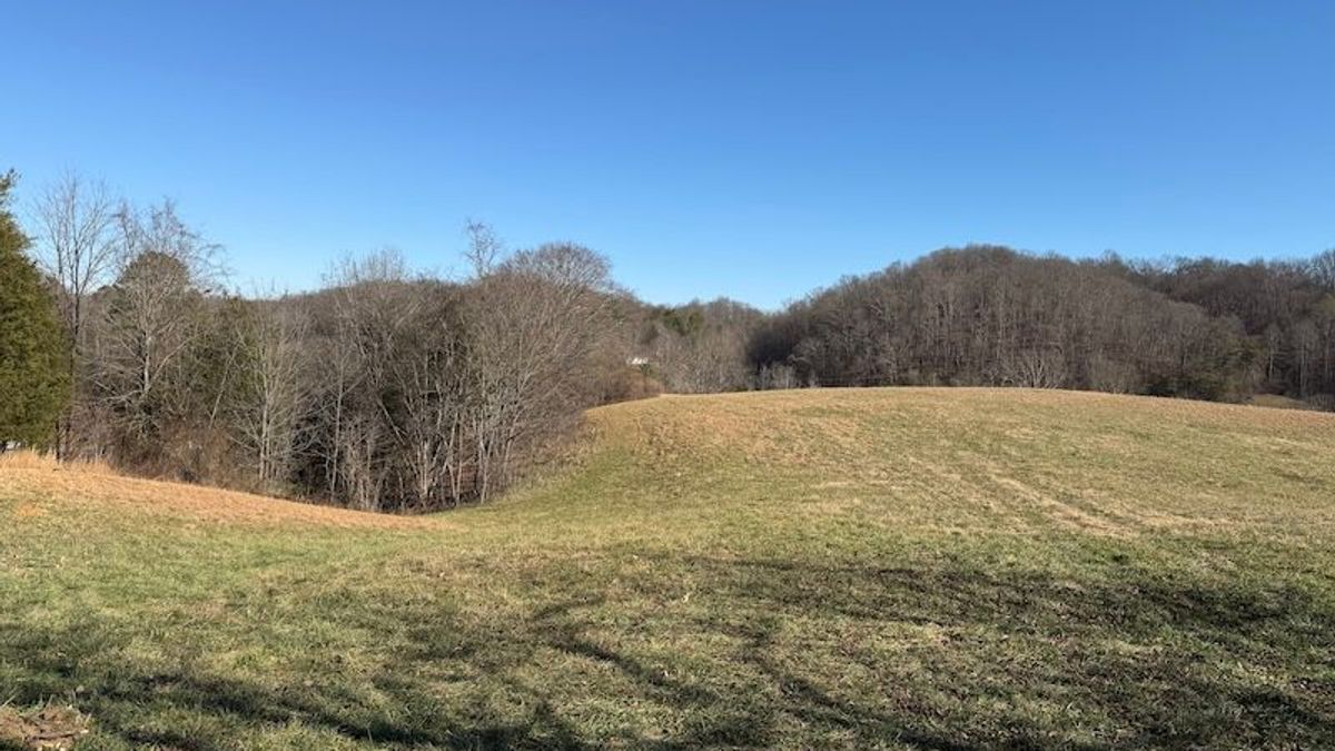 Open Pasture Property With Mountain Views Offering Opportunity For ...
