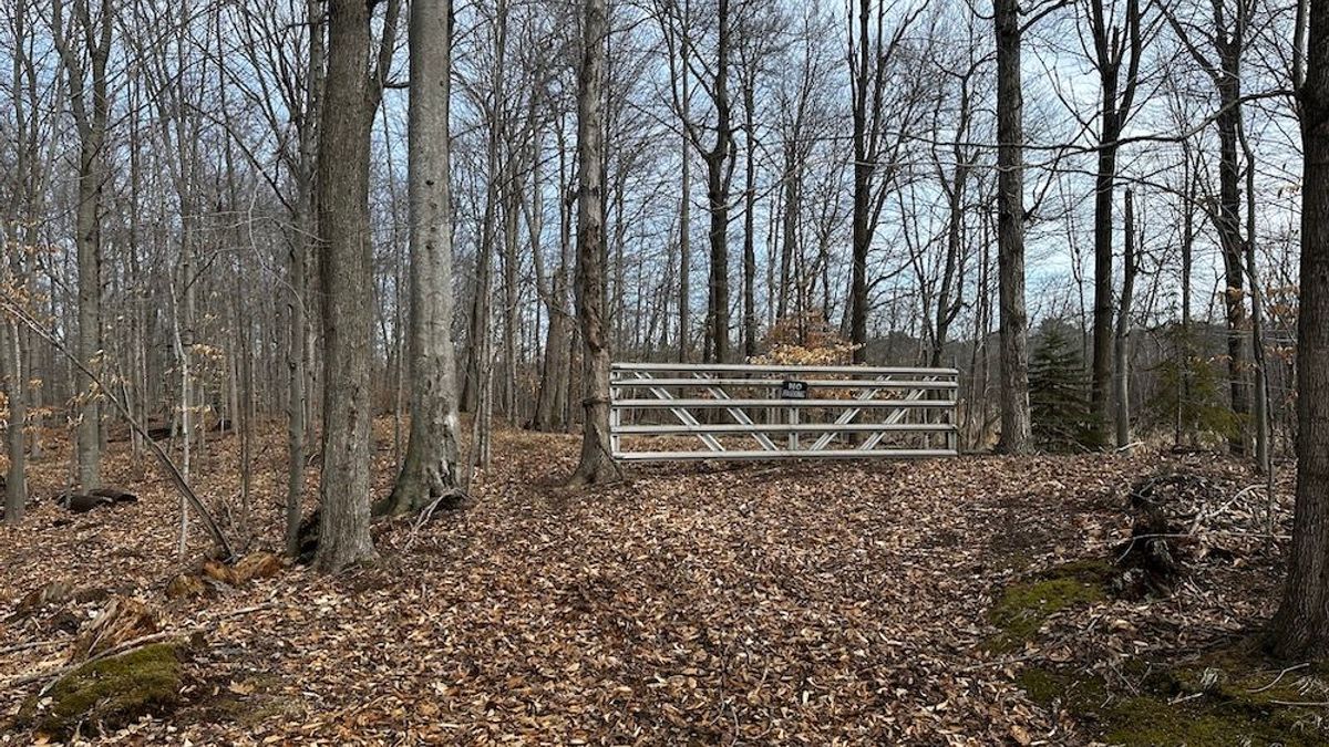 Wooded Recreational Paradise: Prime Hunting, Camping, And Recreational ...