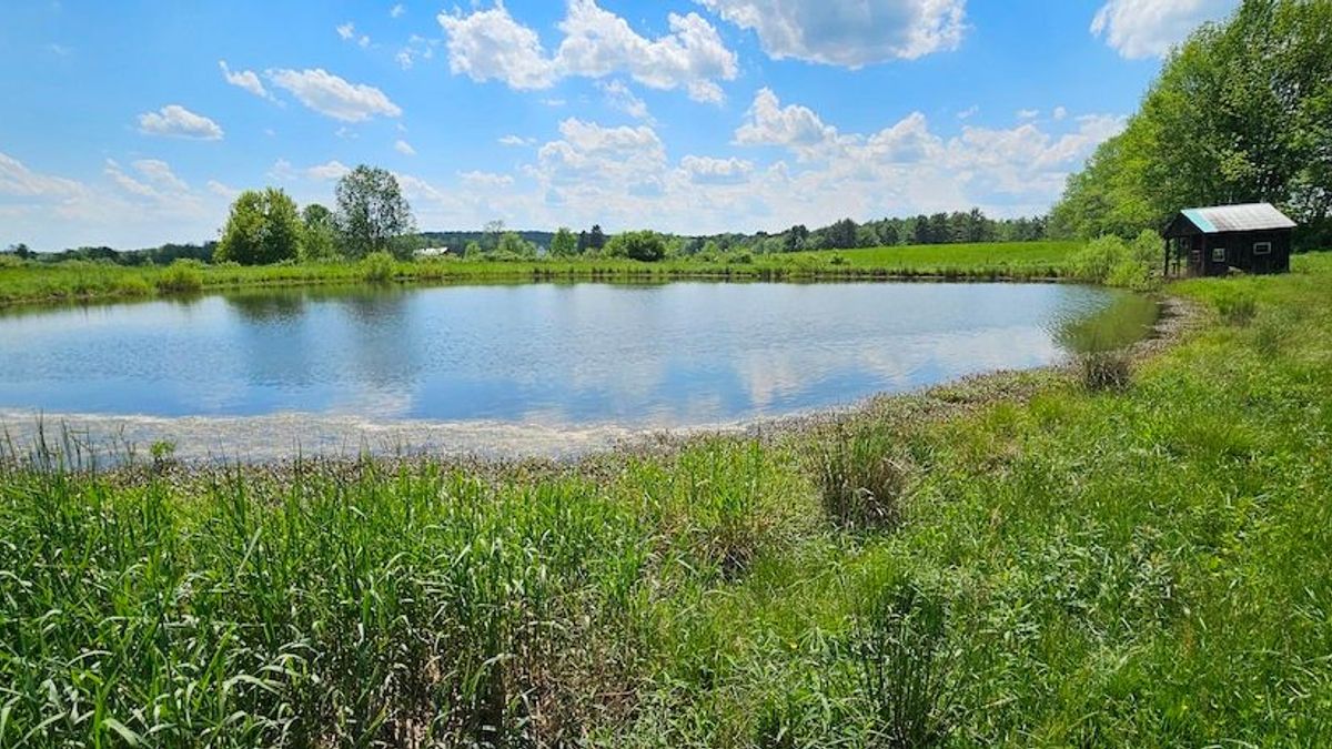 Hunting Gem With Stocked Pond, Fenced Ag Land, Camper & 2 Sheds ...