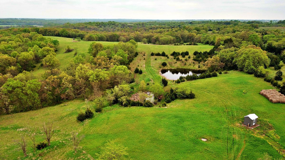 Secluded Hunting Farm With Excellent Deer And Turkey History ...