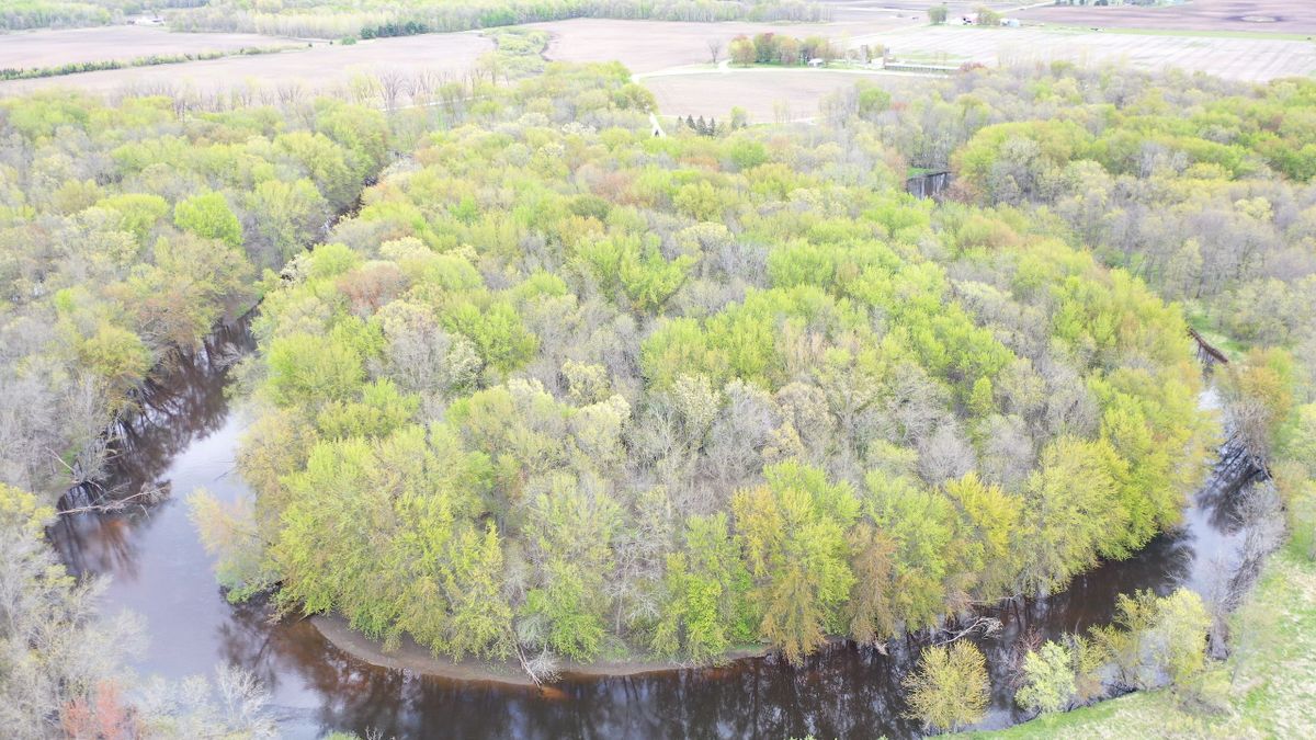Affordable Deer And Duck Parcel On The Embarrass River | Whitetail ...