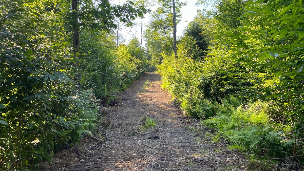 Fantastic Hunting Habitat Near PA State Game Lands 143 | Whitetail ...