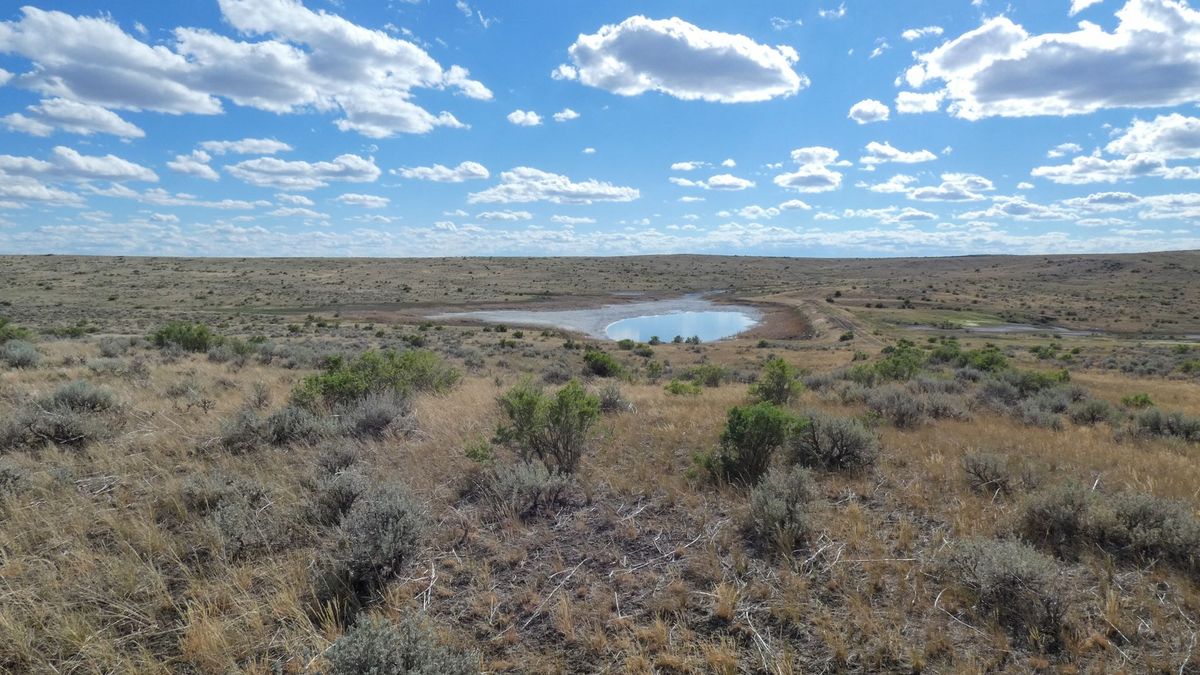 Ideal Pasture Ground With Off-The-Grid Possibilities | Whitetail Properties