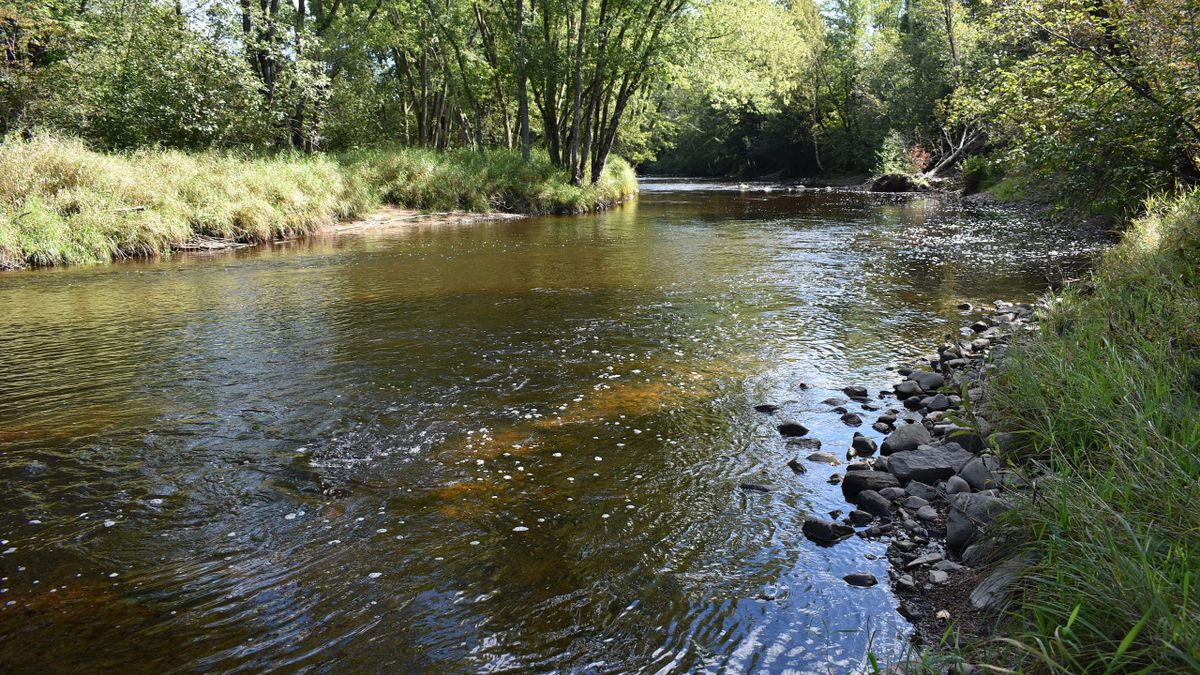 Riverfront Property On Big Rib River With Fishing Opportunities ...