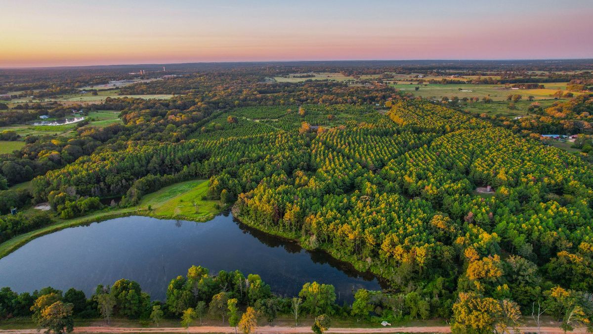 Beautiful Recreation/Timber Property With Private Lake | Whitetail ...
