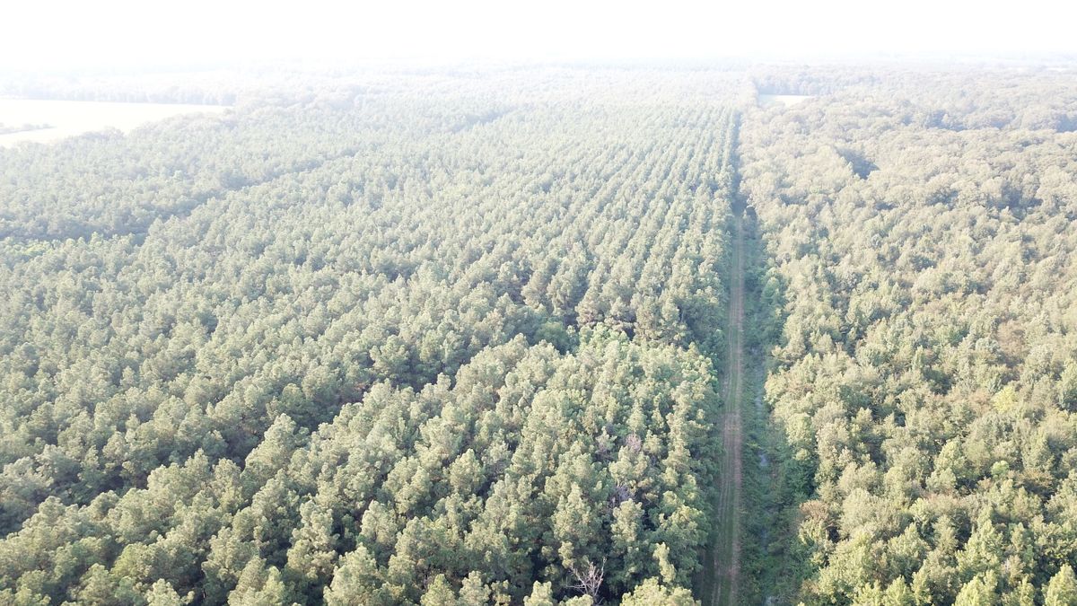 CRP Income, Great Timber Value, Good Hunting And Potential Home Site ...