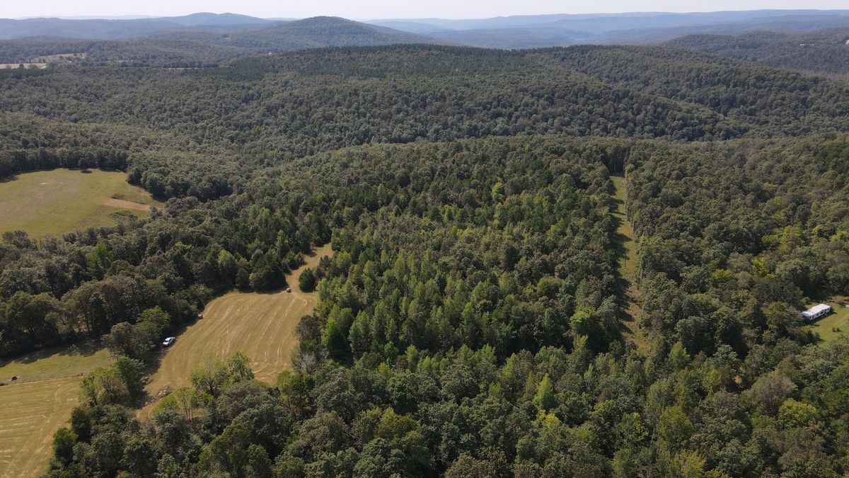 Gorgeous Remote Tract Bordering National Forest With Electric On Site ...