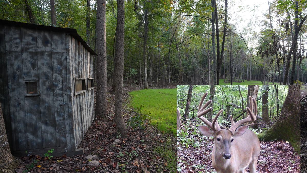 Great Hunting With An Amazing Variety Of Habitat And Spectacular Views ...