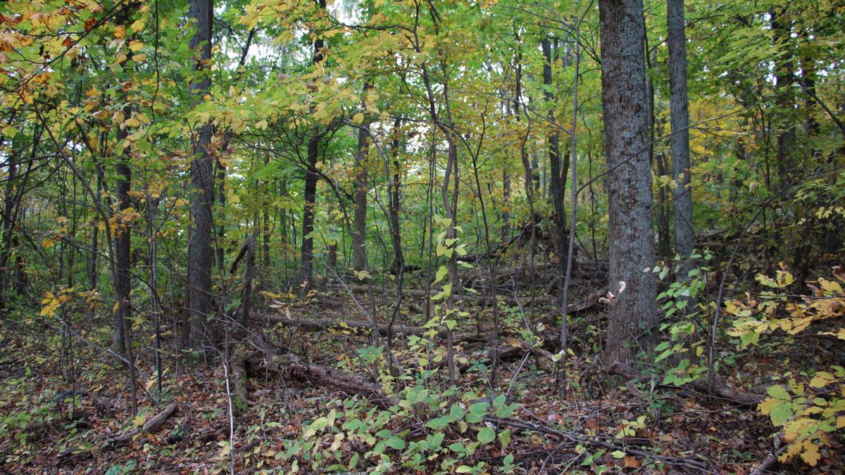 Building Lot In The Lake Front Royal Community | Whitetail Properties