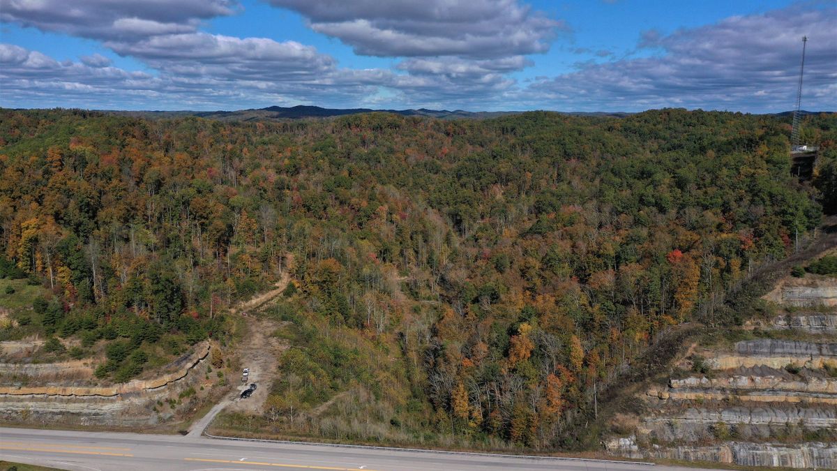 Timber Tract With Unlimited Potential | Whitetail Properties