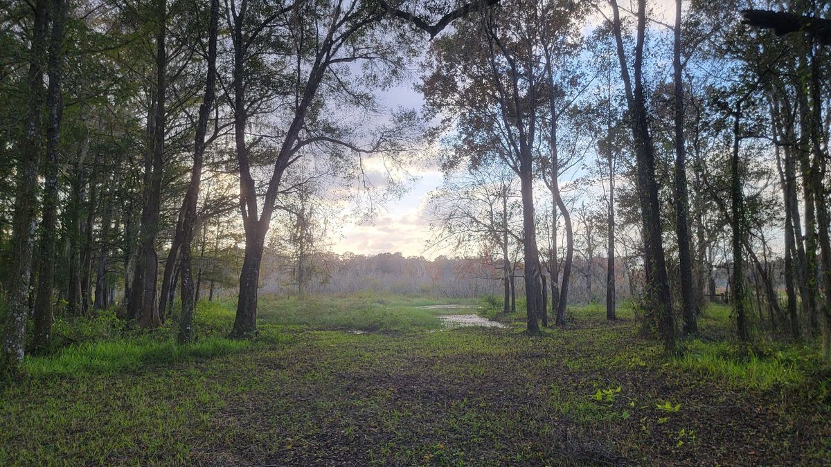 Secluded Farm Living At Its Best | Whitetail Properties