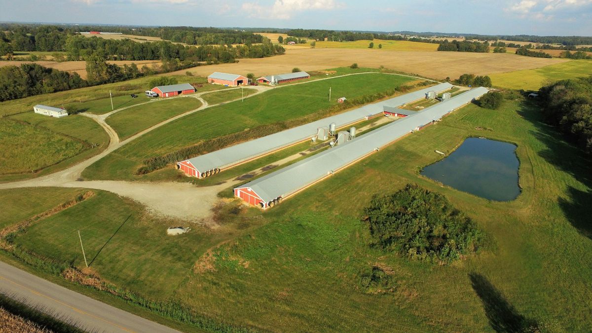 Turnkey Poultry Farm With Recent Upgrades | Whitetail Properties