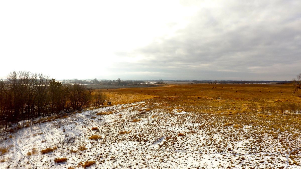 Talcot Lake Area CRP Property | Whitetail Properties