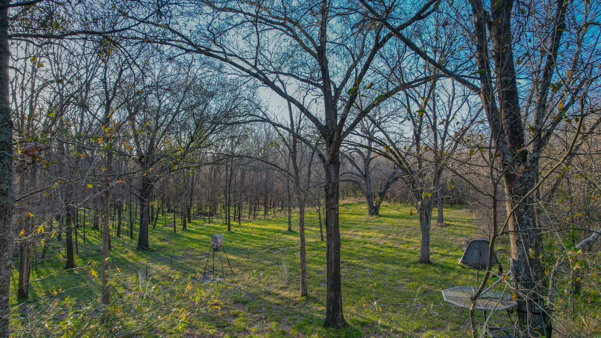 Superb Wildlife Habitat With Plentiful Water And A Barndo! | Whitetail ...