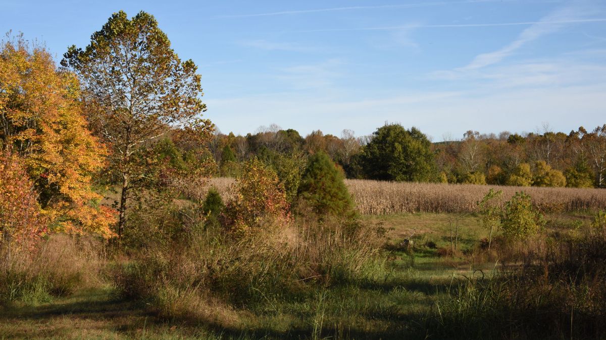 Beautiful Western KY Farm With Home Surrounded By Natural Beauty ...