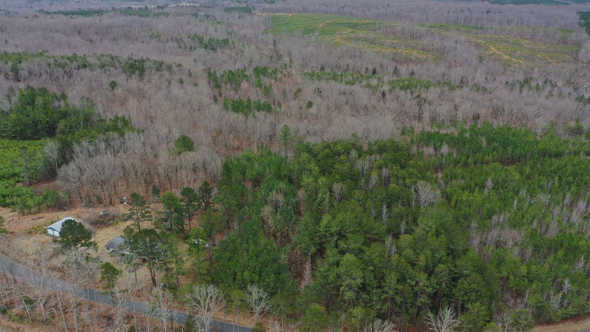 Rural Acres Of Undeveloped Land | Whitetail Properties