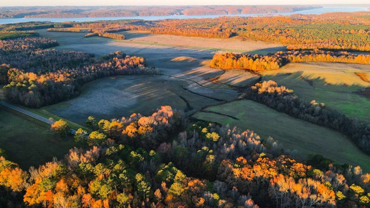 Beautiful Farm With Large Tillable Acreage In NW Alabama Near The ...