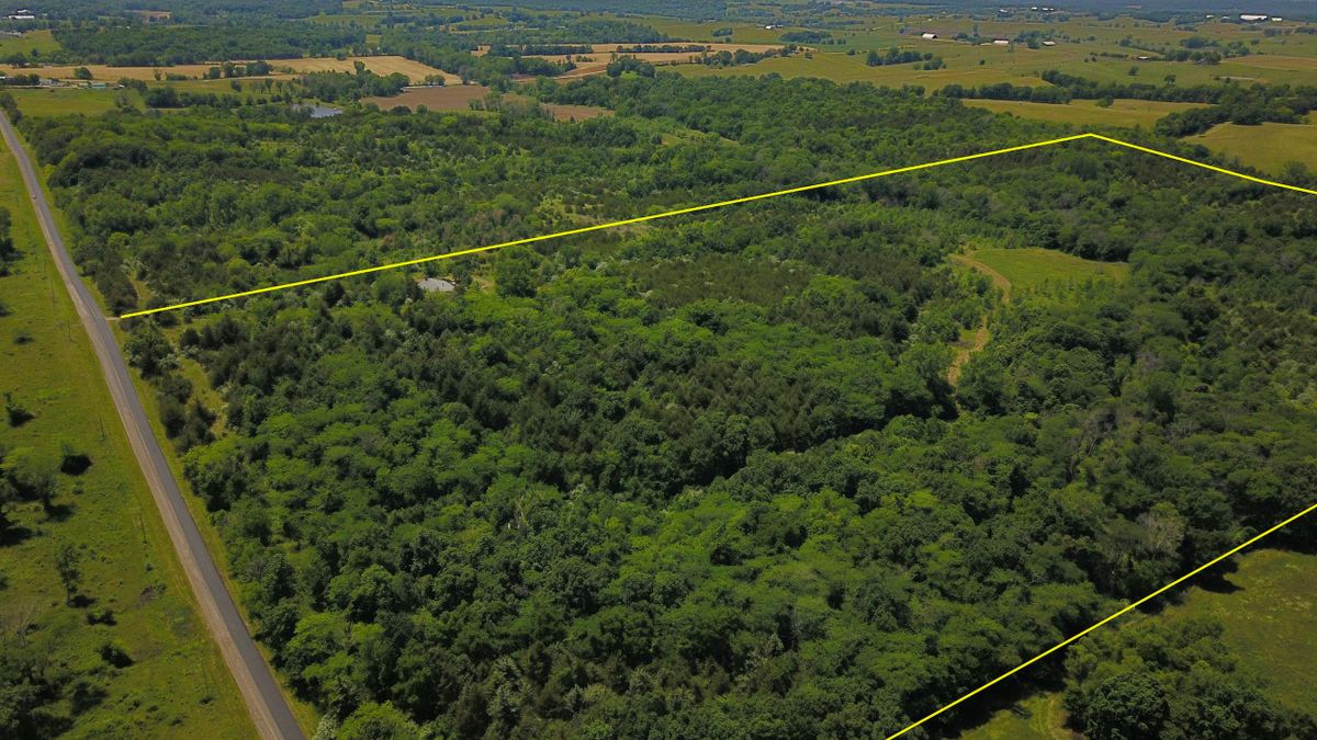 Hunting Property With Excellent Whitetail Habitat | Whitetail Properties