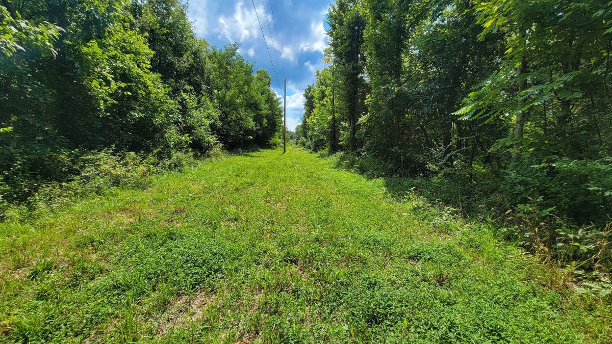 Secluded Hunting Property With Gated Access And Powerline Cutout ...