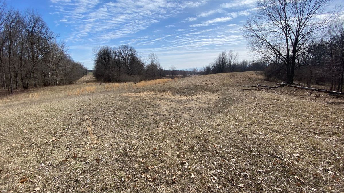 Incredible Hunting Tract On The Red Cedar River Watershed | Whitetail ...