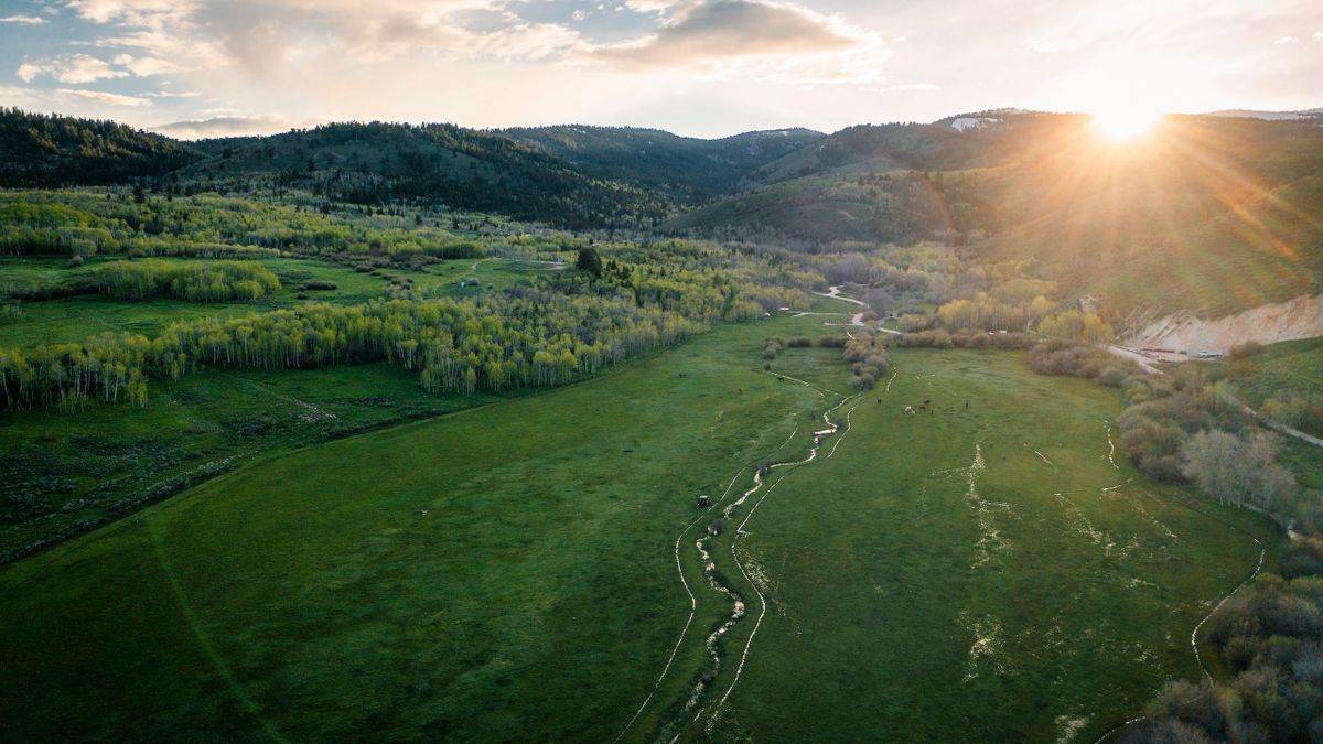 Elkhorn Cattle Ranch With Exceptional Big Game Hunting | Whitetail ...