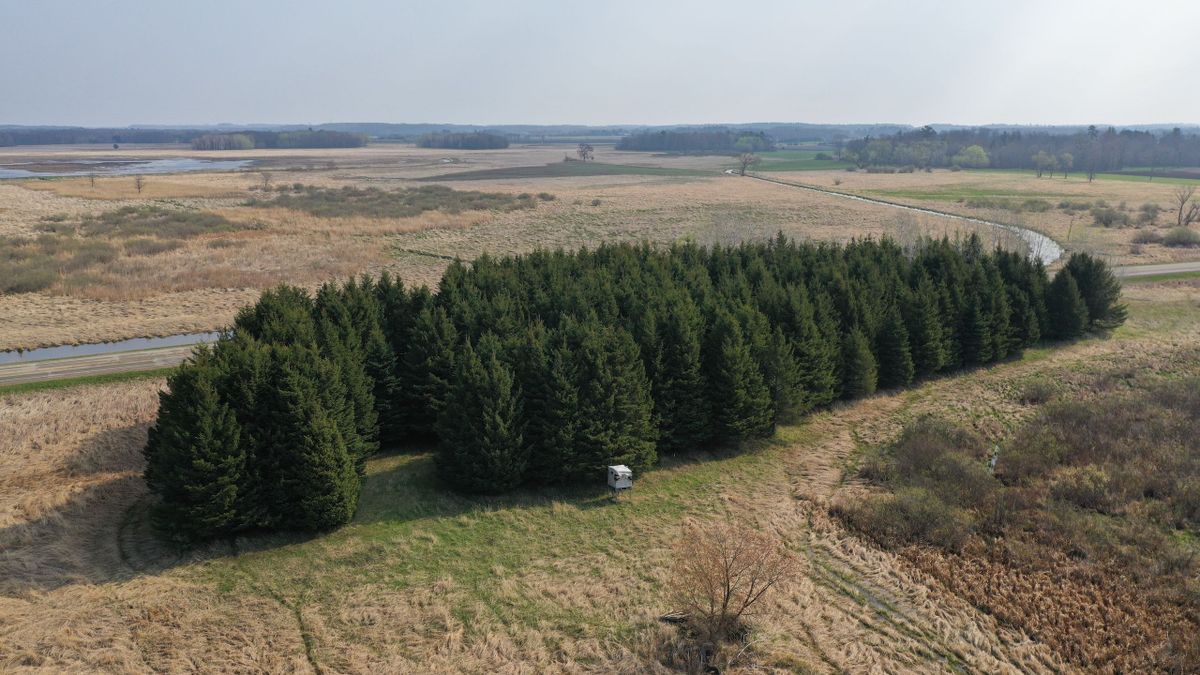 Productive Deer Hunting Acreage With High Ground Access | Whitetail ...