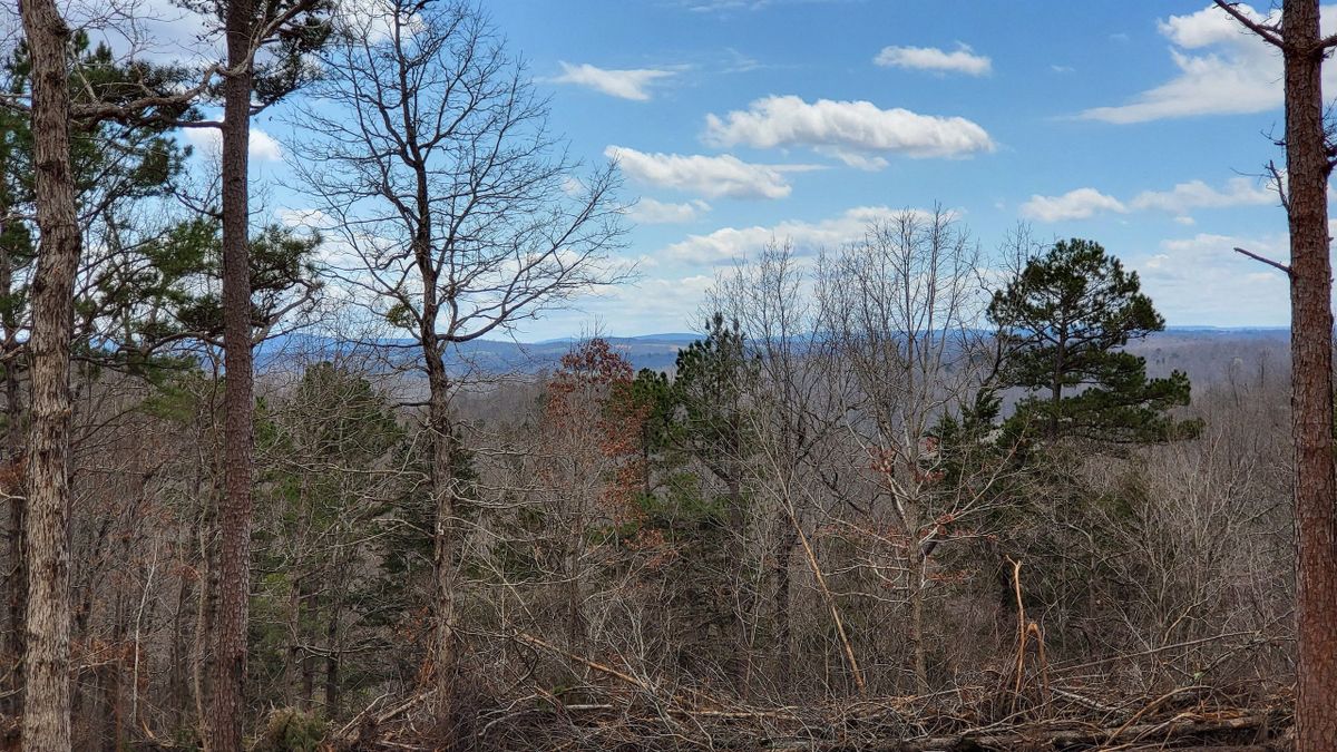Beautiful Wooded Building Tract With Views | Whitetail Properties