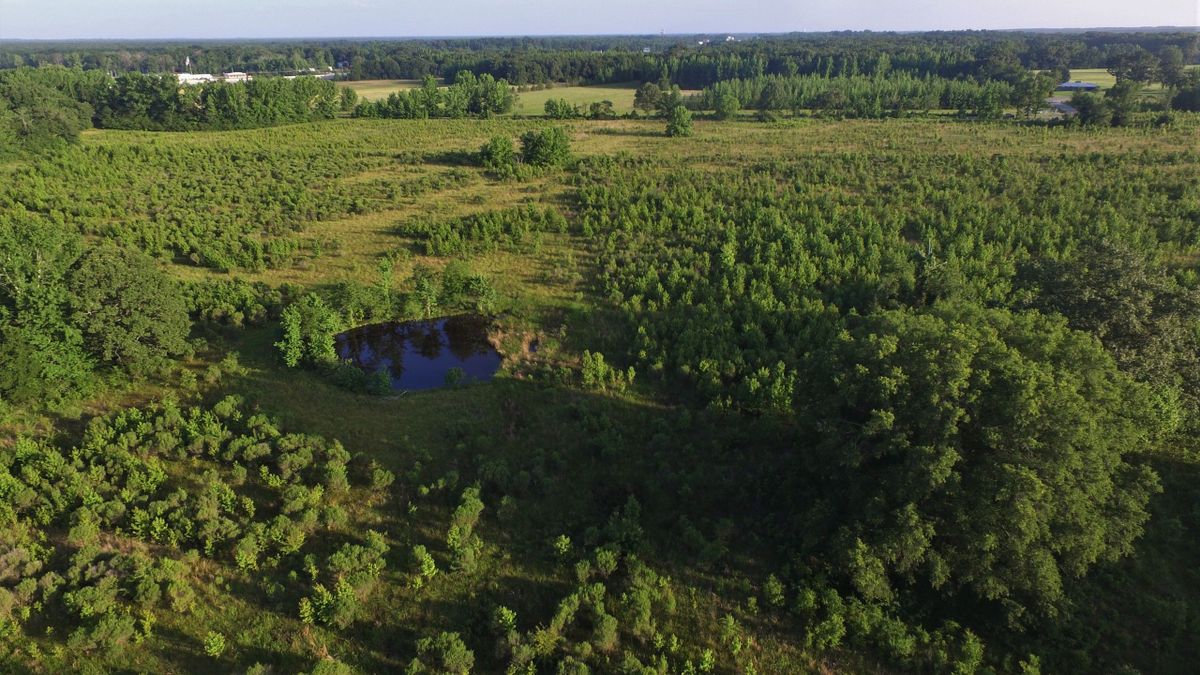 Large Cabot Area Property For Sale | Whitetail Properties