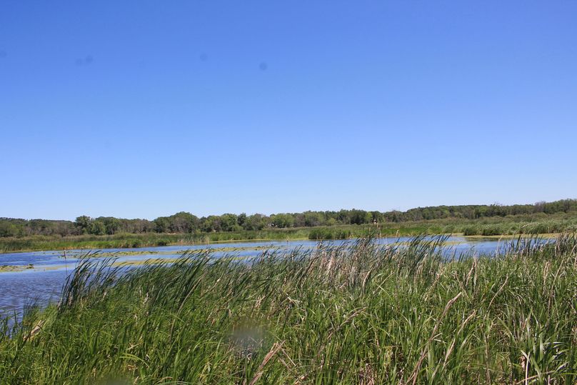 Waterfowl And Deer Hunting Property In Eastern WI | Whitetail Properties