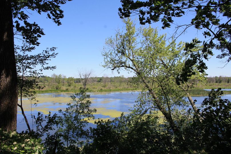 Waterfowl And Deer Hunting Property In Eastern WI | Whitetail Properties