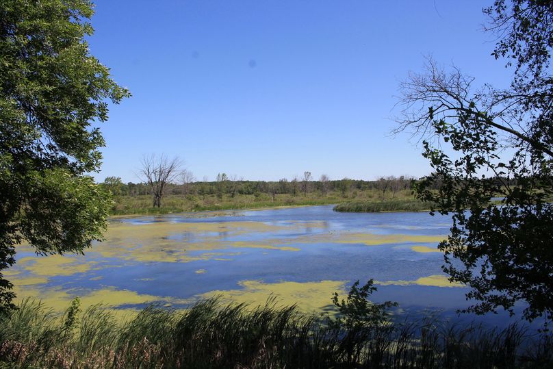 Waterfowl And Deer Hunting Property In Eastern WI | Whitetail Properties