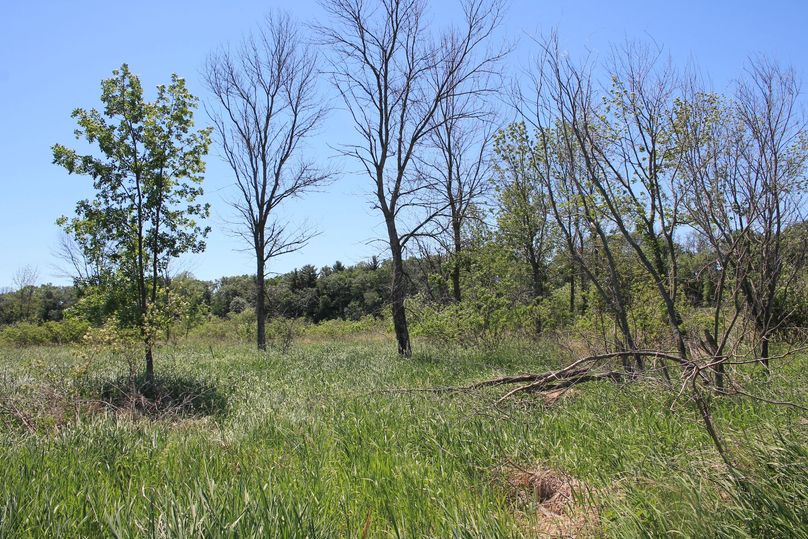 Waterfowl And Deer Hunting Property In Eastern WI | Whitetail Properties