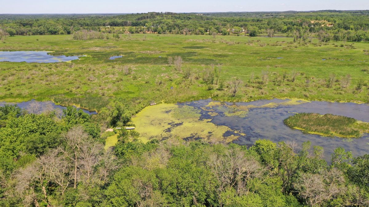 Waterfowl And Deer Hunting Property In Eastern WI | Whitetail Properties