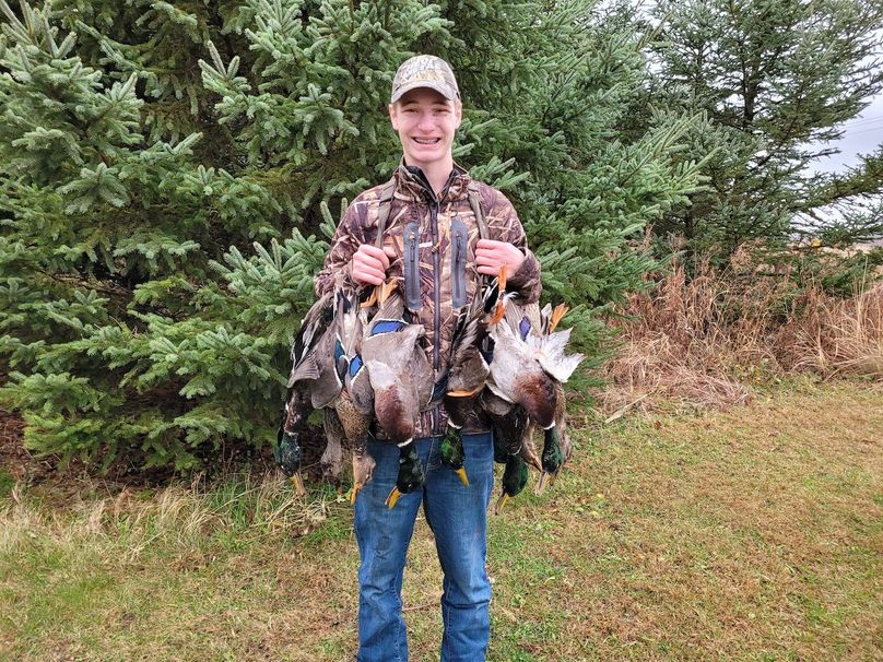 Waterfowl And Deer Hunting Property In Eastern WI | Whitetail Properties