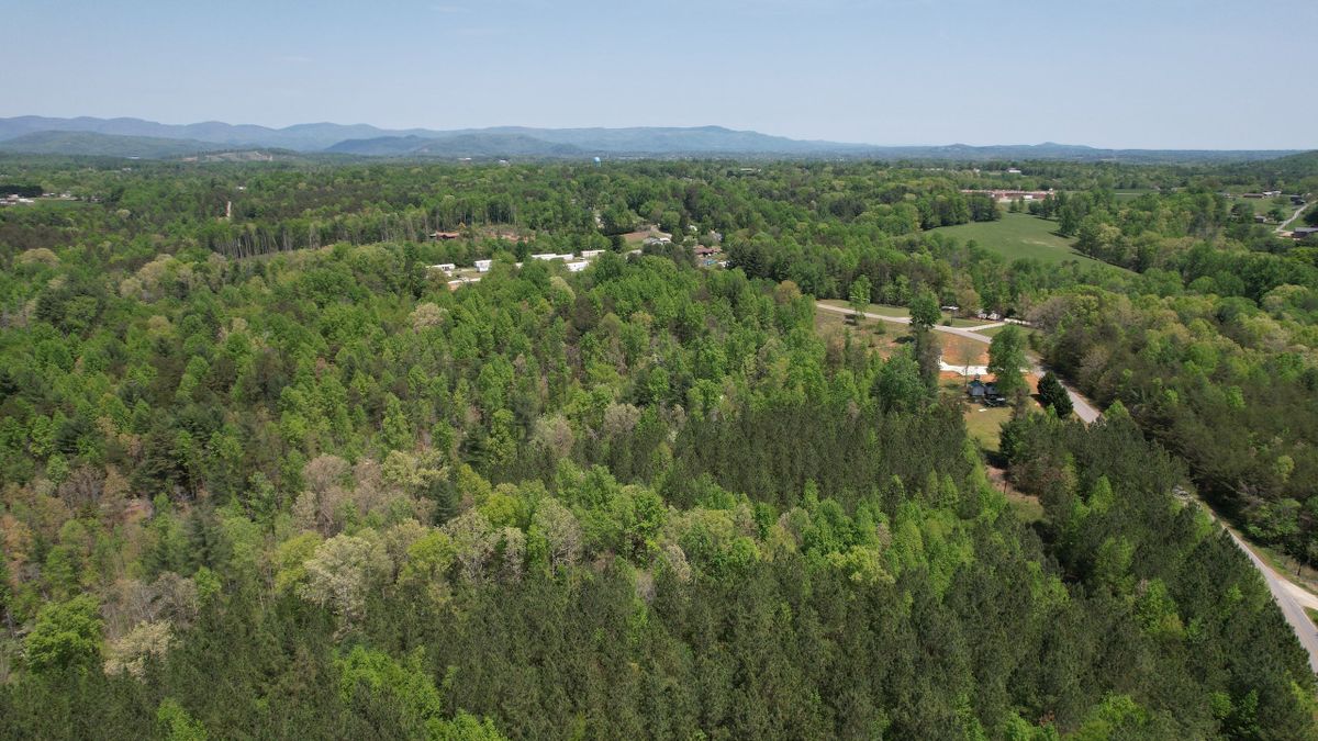 Heavily Wooded Recreational Tract On Dead End Paved Rd | Whitetail ...