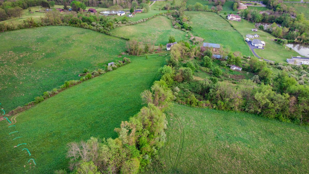 Lush Alfalfa Pasture Farm Great For Cows Or Horses | Whitetail Properties