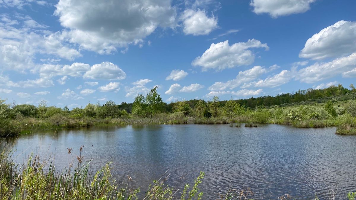 Beautiful Acreage With Two Ponds And Amazing Views | Whitetail Properties