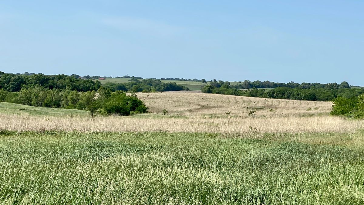 Northeast Kansas Timber, Lake And CRP Farm | Whitetail Properties