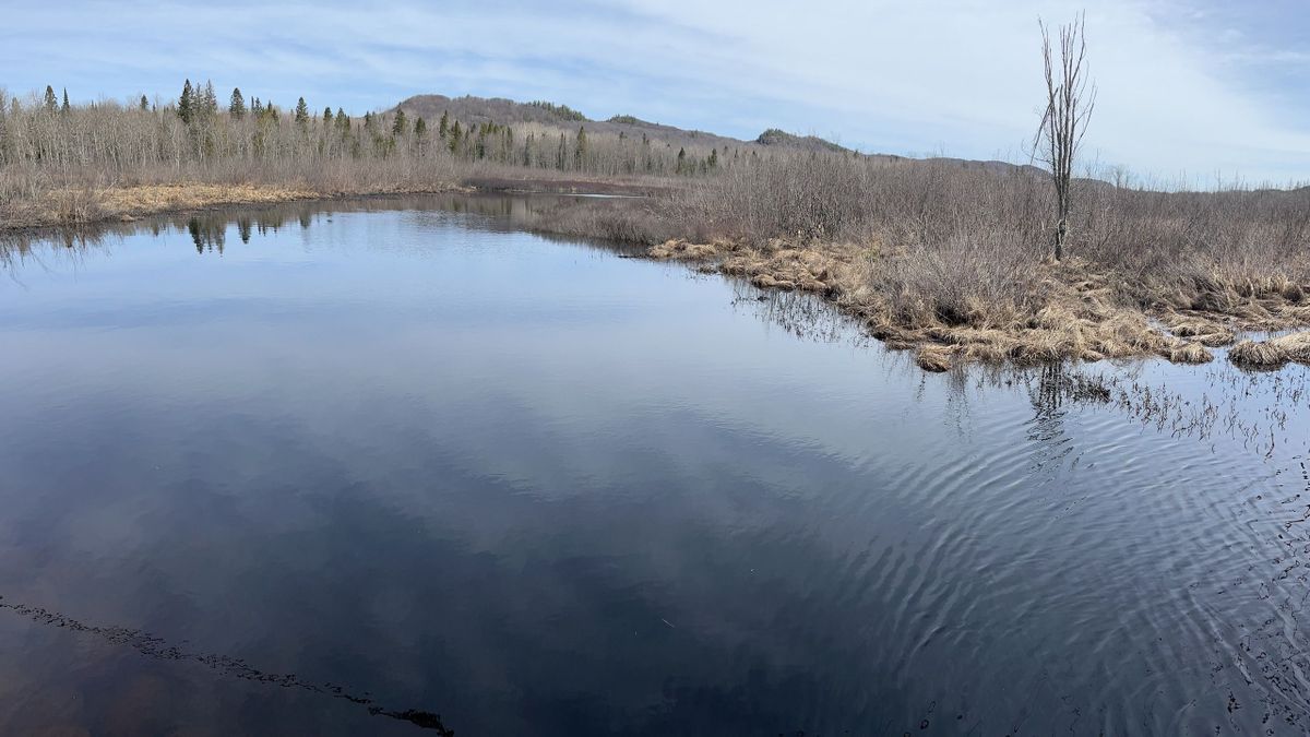 Penokee Range Settlers Homestead Location On Alder Creek | Whitetail ...