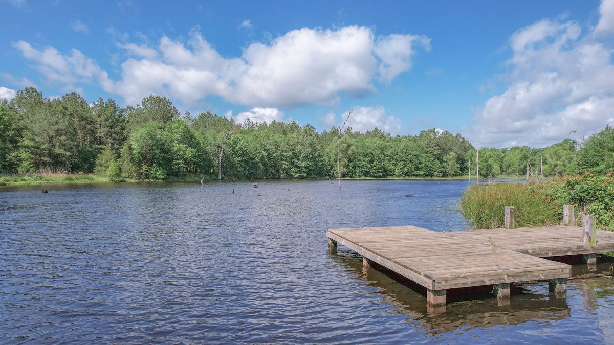 Hunting And Recreation Property With 6+ Acre Pond | Whitetail Properties