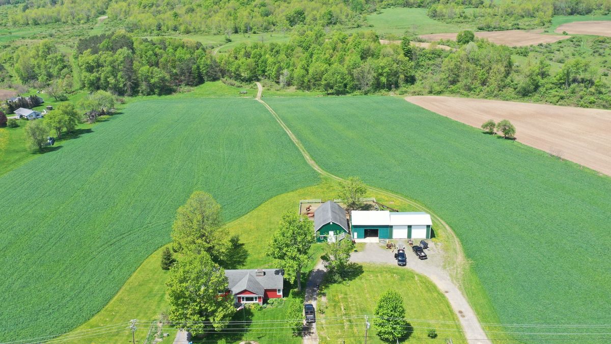 Rare River Bottom Farm For Horses, Livestock And Crops | Whitetail ...