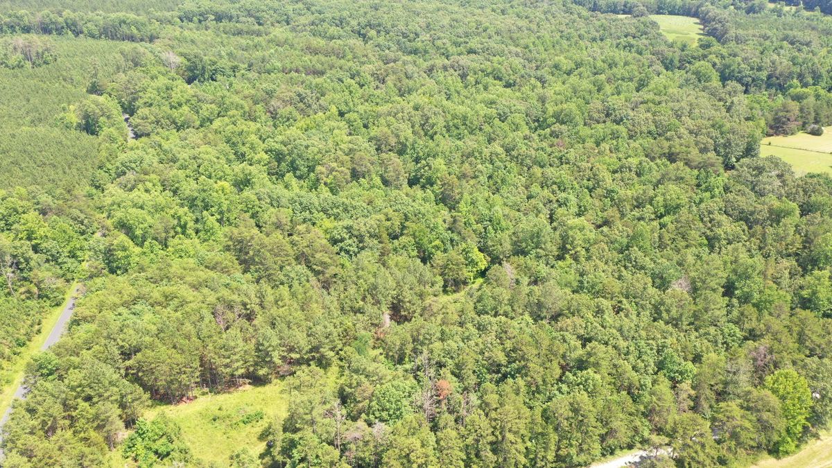 Large Peaceful Building Tract With Lots Of Road Frontage | Whitetail ...